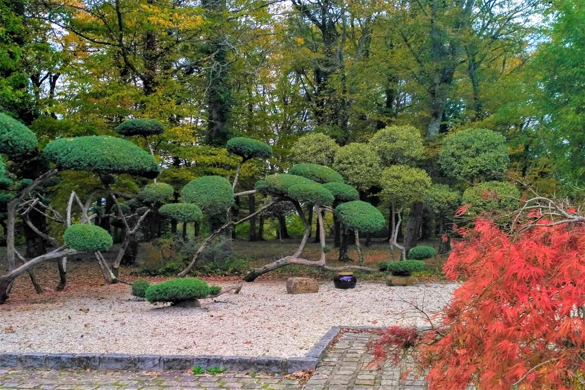 Rodzaje ogrodów, jaki styl wybrać? - Allegro.pl