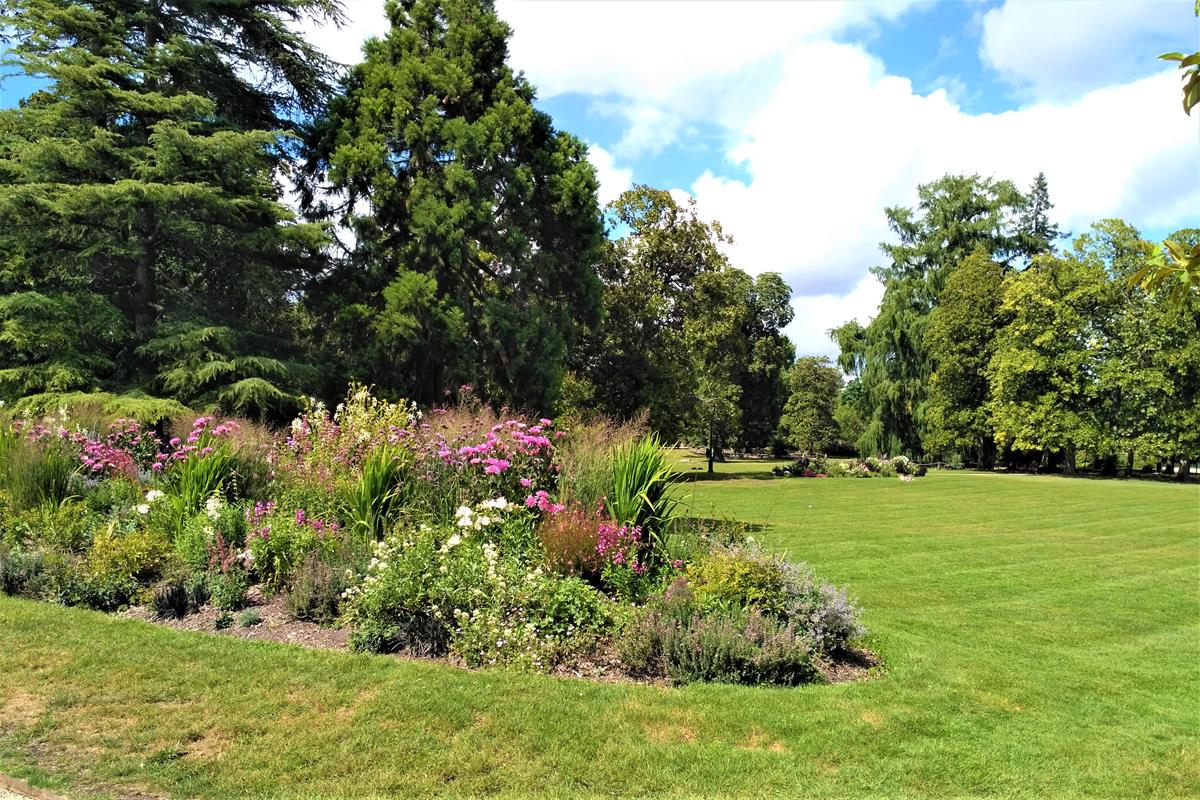 Rodzaje ogrodów, jaki styl wybrać? - Allegro.pl