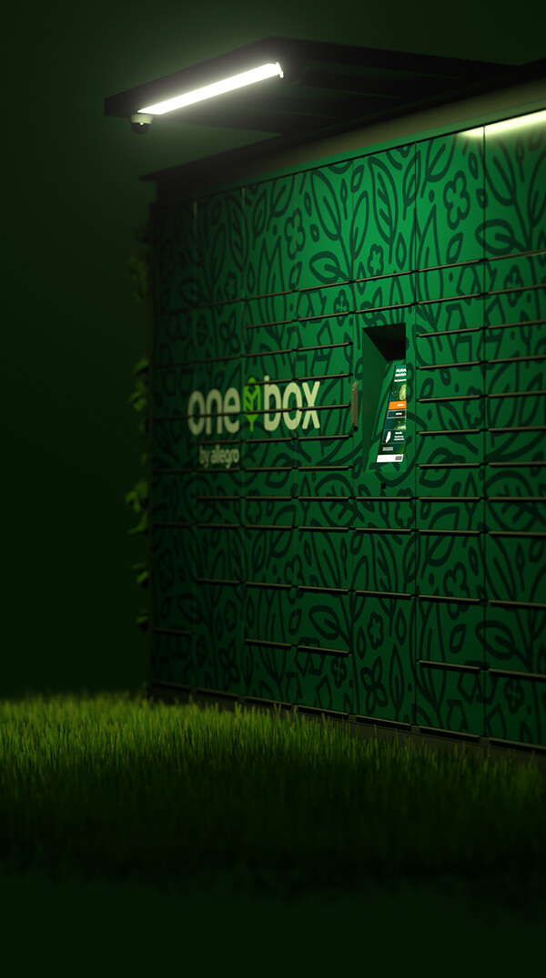 Allegro One - Szybka dostawa w jeden dzień.